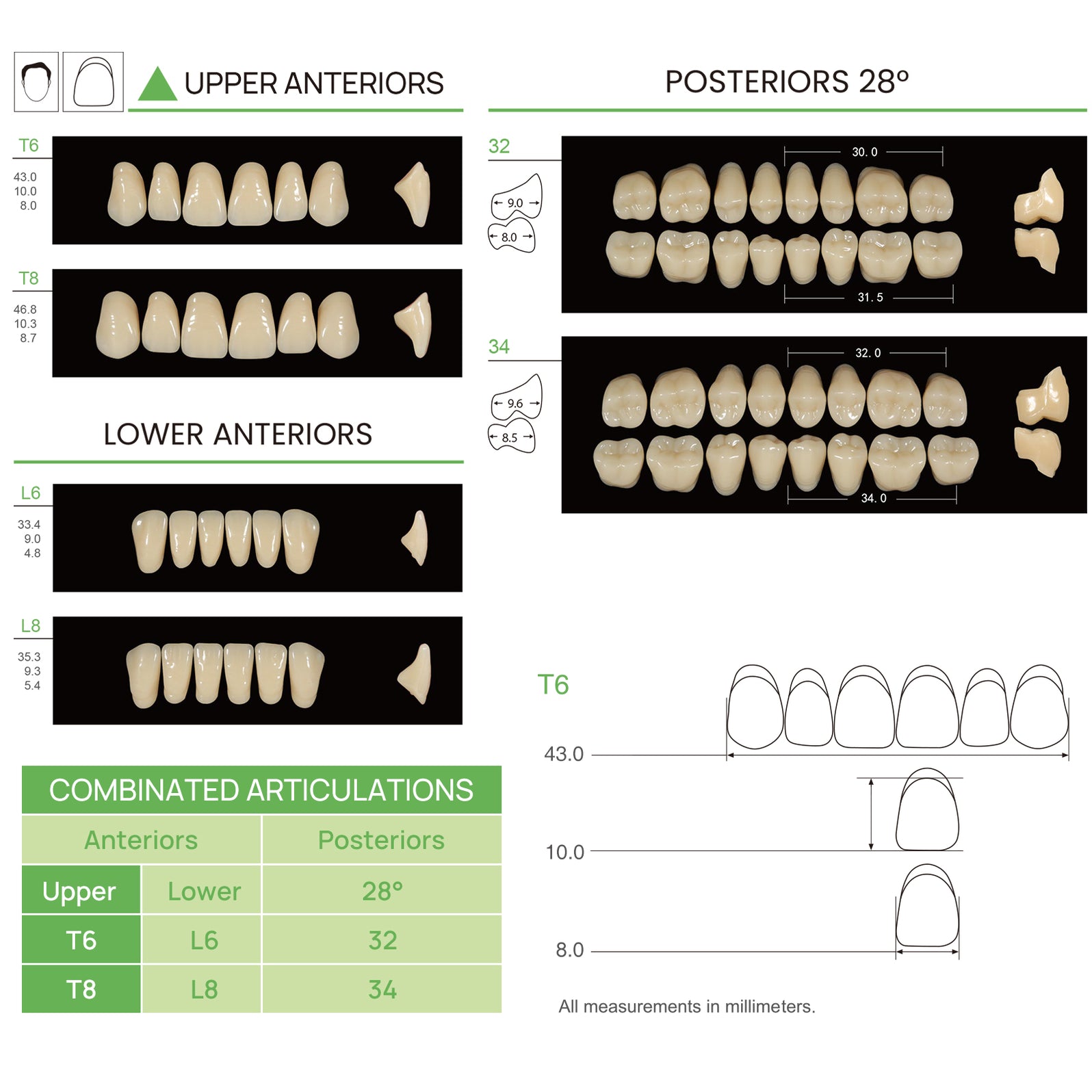 JMU Dental Kaili Synthetic Polymer Acrylic Resin Denture Teeth 4 Full