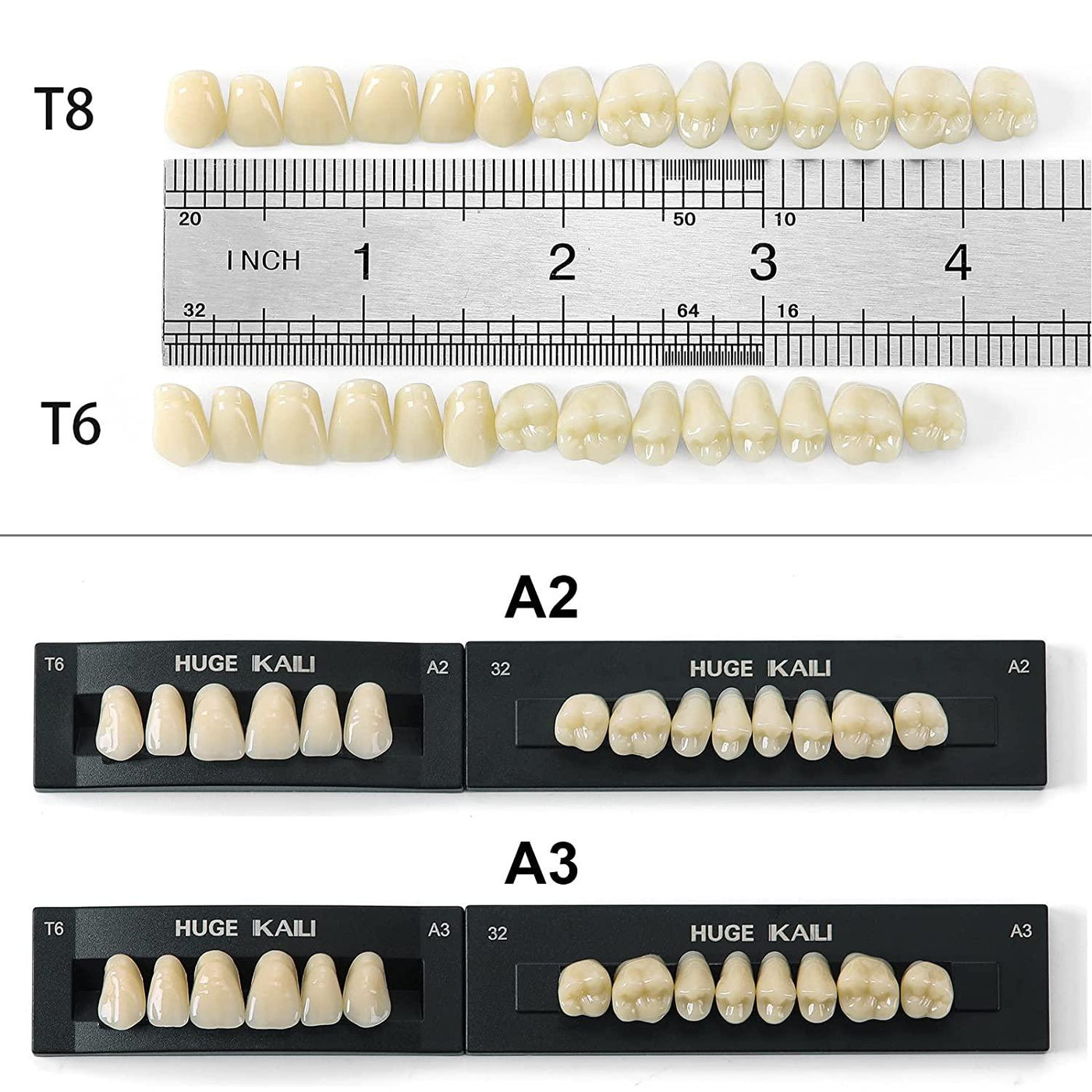 JMU Dental Kaili Synthetic Polymer Acrylic Resin Denture Teeth 4 Full